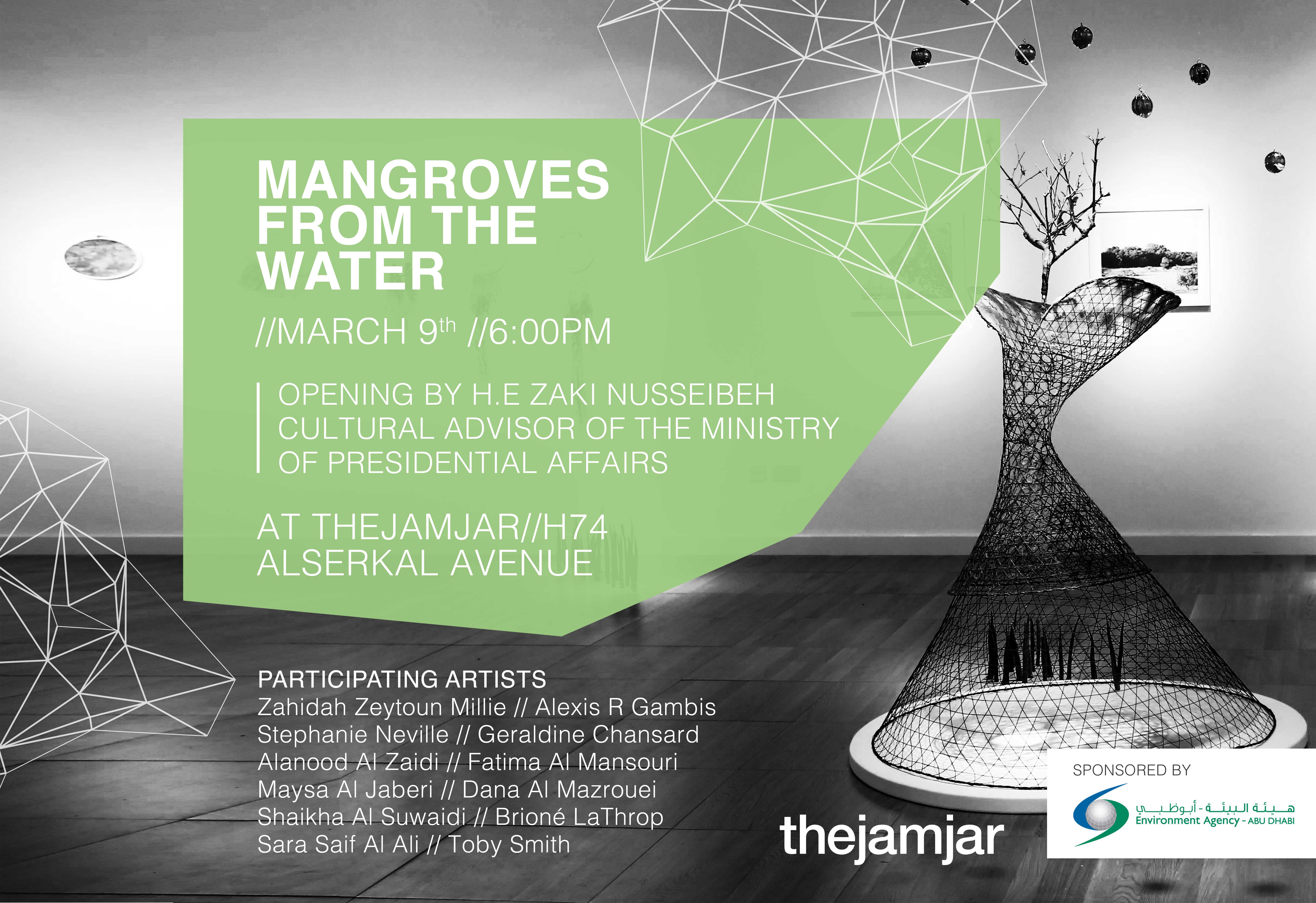 About the UAE project – Mangroves from the Water (MFTW)